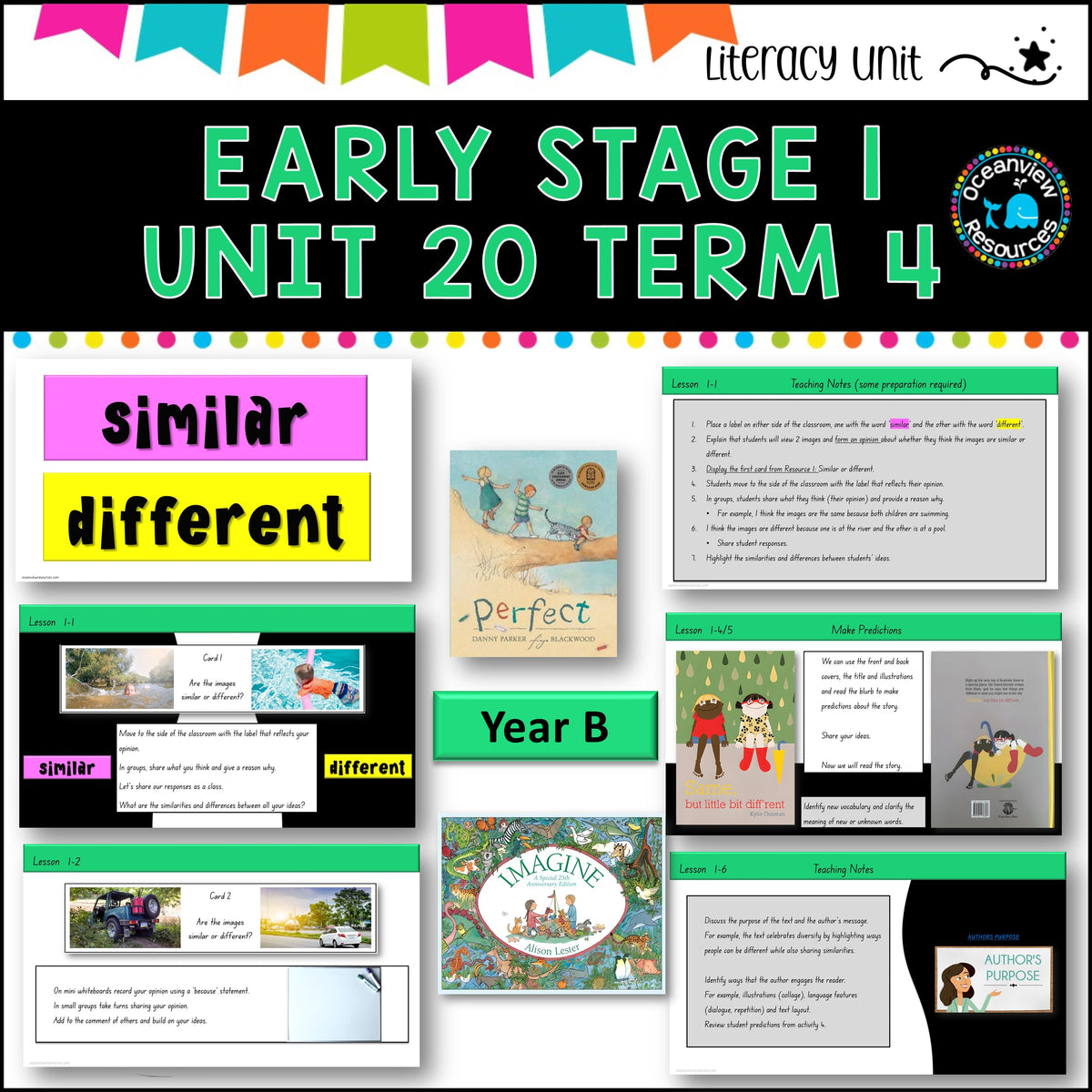 SAME BUT DIFF'RENT, PERFECT Unit 20, unit ES1 Term 4, NSW DET Componen