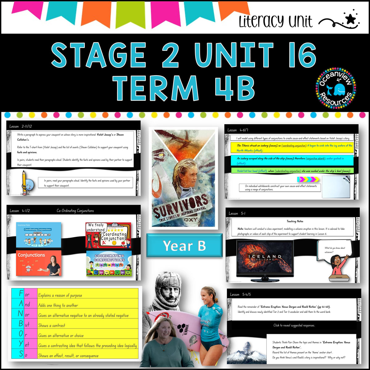 SURVIVORS TRUE INSPIRING STORIES NSW DET Stage 2 Unit 16 Term 4 Year B