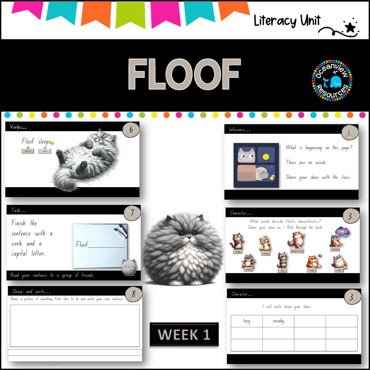 FLOOF-NSW ES1 Unit 8 - component B WEEK 1 English- TERM 2 (kinder)