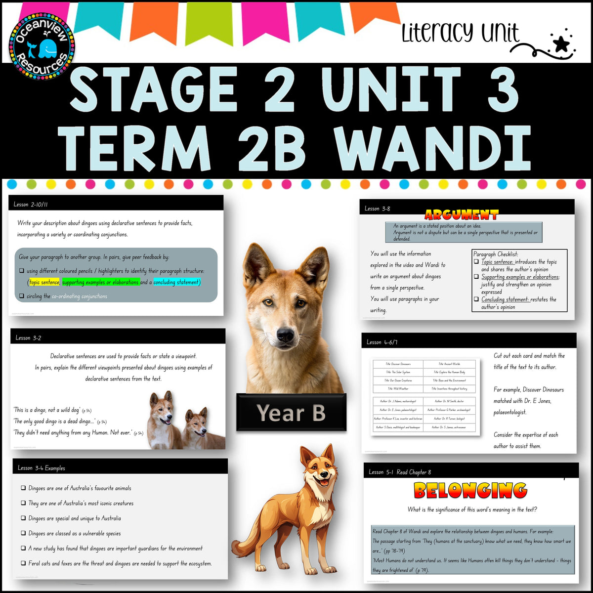 WANDI by Favel Parett -NSW Stage 2 Unit 3 support Unit- BOOK STUDY