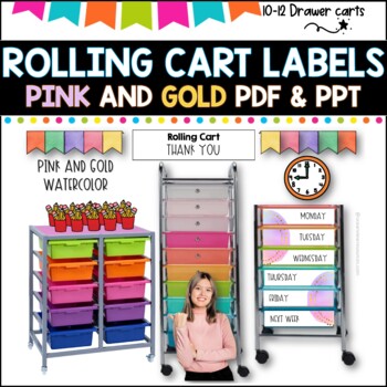 10 Drawer Rolling Cart Labels | PINK AND GOLD DESIGN I Teacher Trolley
